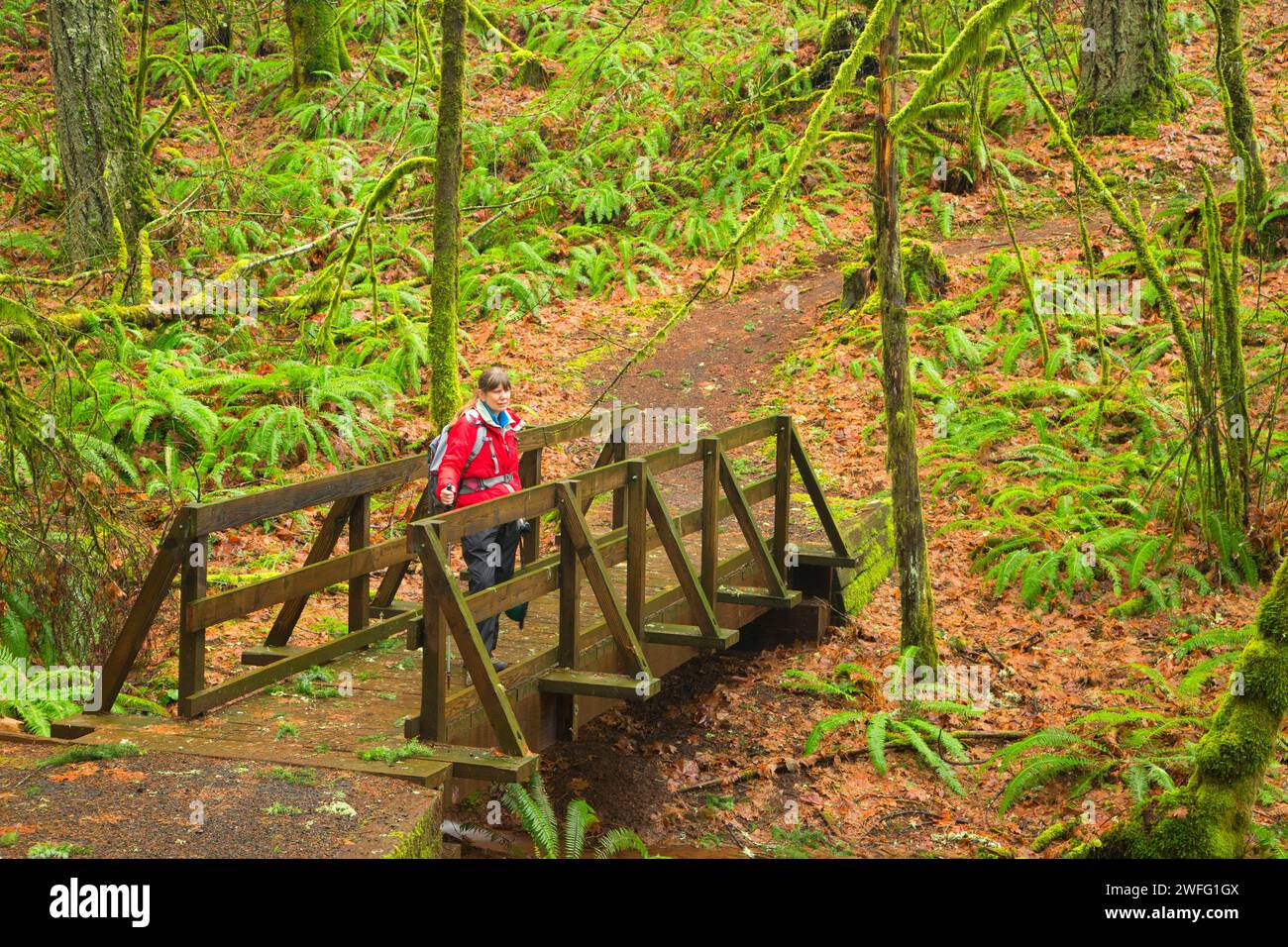 Powder House Trail bridge, McDonald State Forest, Oregon Stock Photo ...