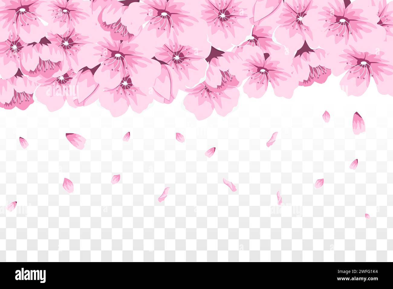 cherry blossom illustration isolated on transparent background Stock ...