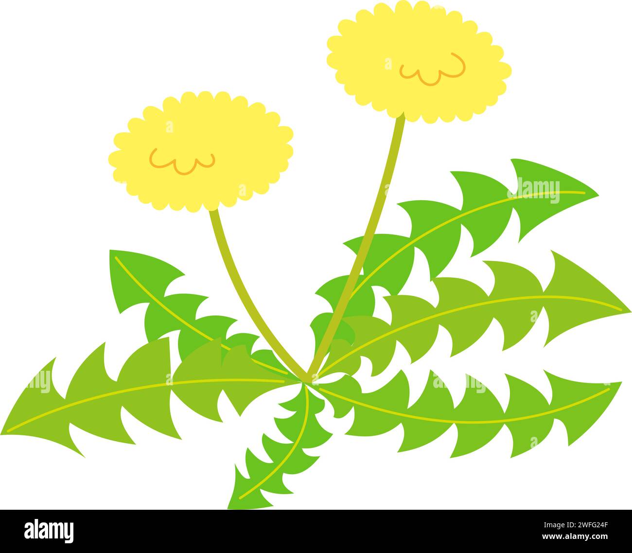 Simple dandelion illustration in flat design. Cute illustration of a ...