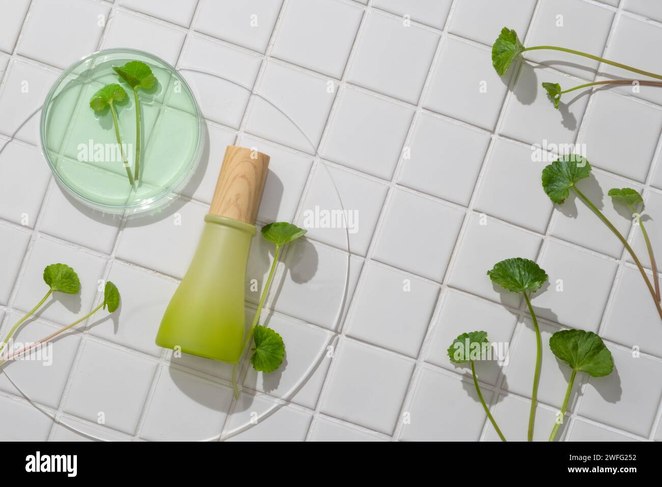 A jar placed on transparent round podium with a glass petri dish of ...