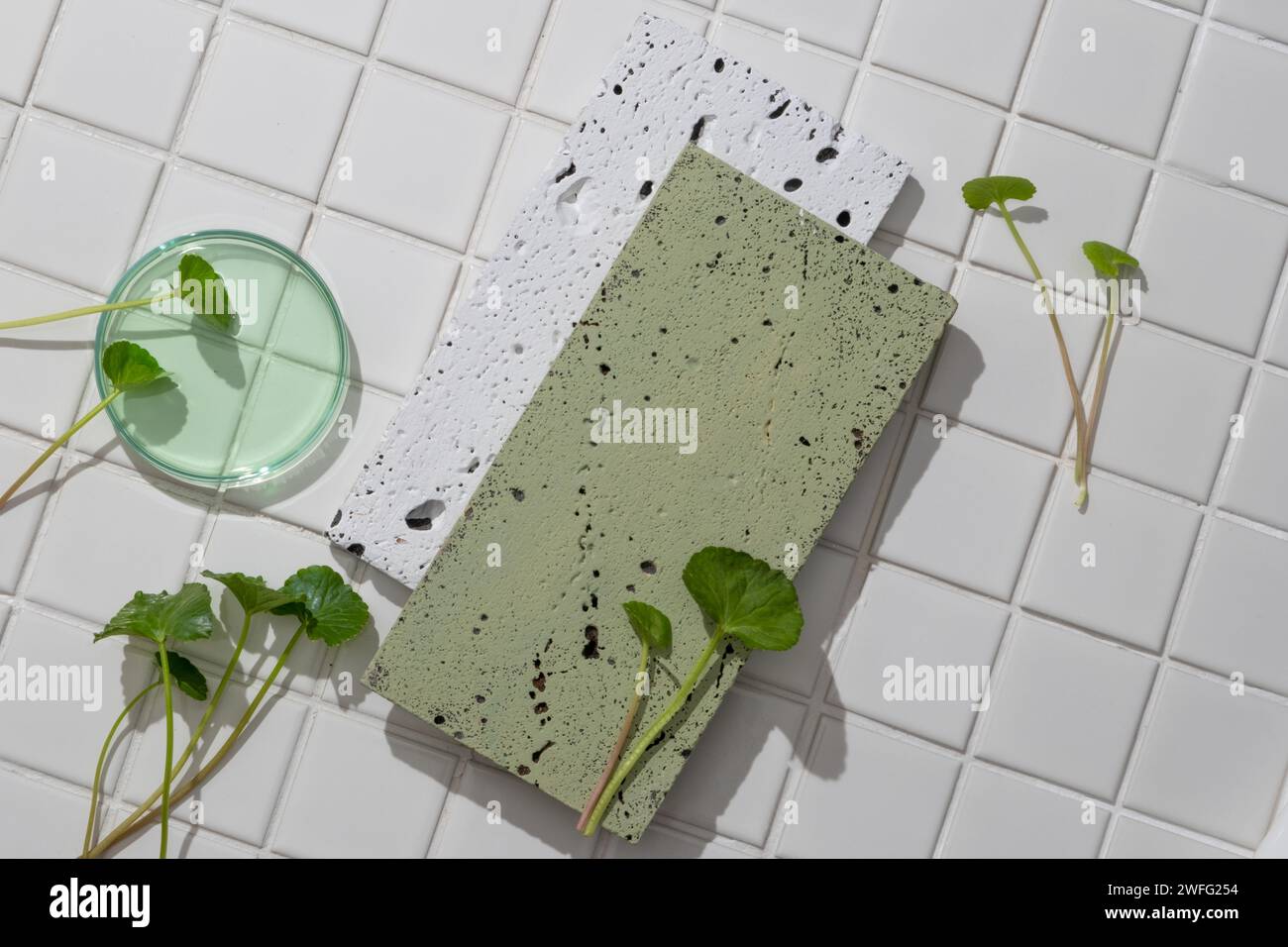 Two empty stone podiums decorated with glass petri dish containing ...
