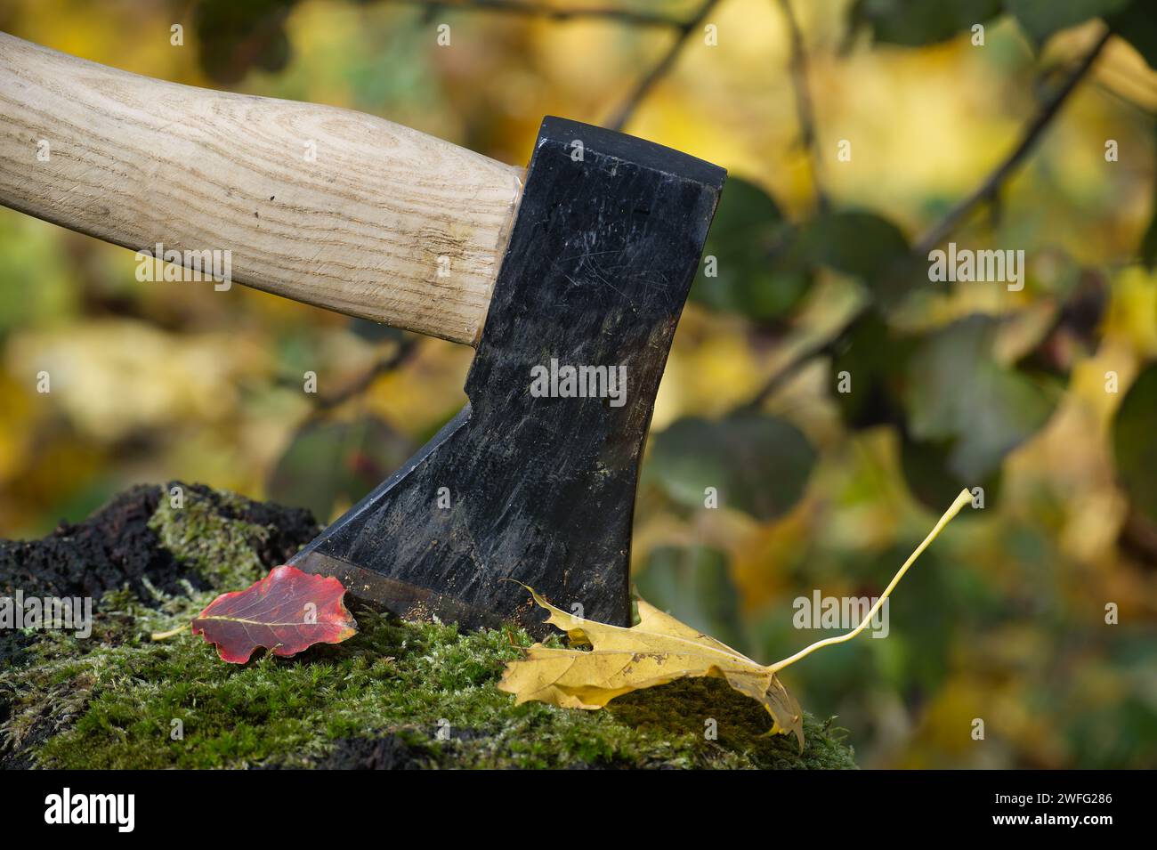 Axe embedded halfway into a tree log, background shows a yellow forest ...
