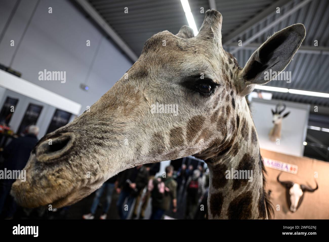 Dortmund, Germany. 29th Jan, 2024. Visitors to the Jagd und Hund trade ...