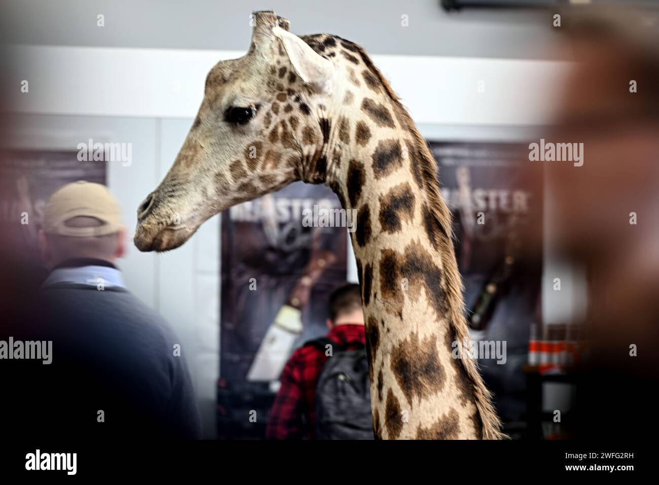 Dortmund, Germany. 29th Jan, 2024. Visitors to the Jagd und Hund trade ...