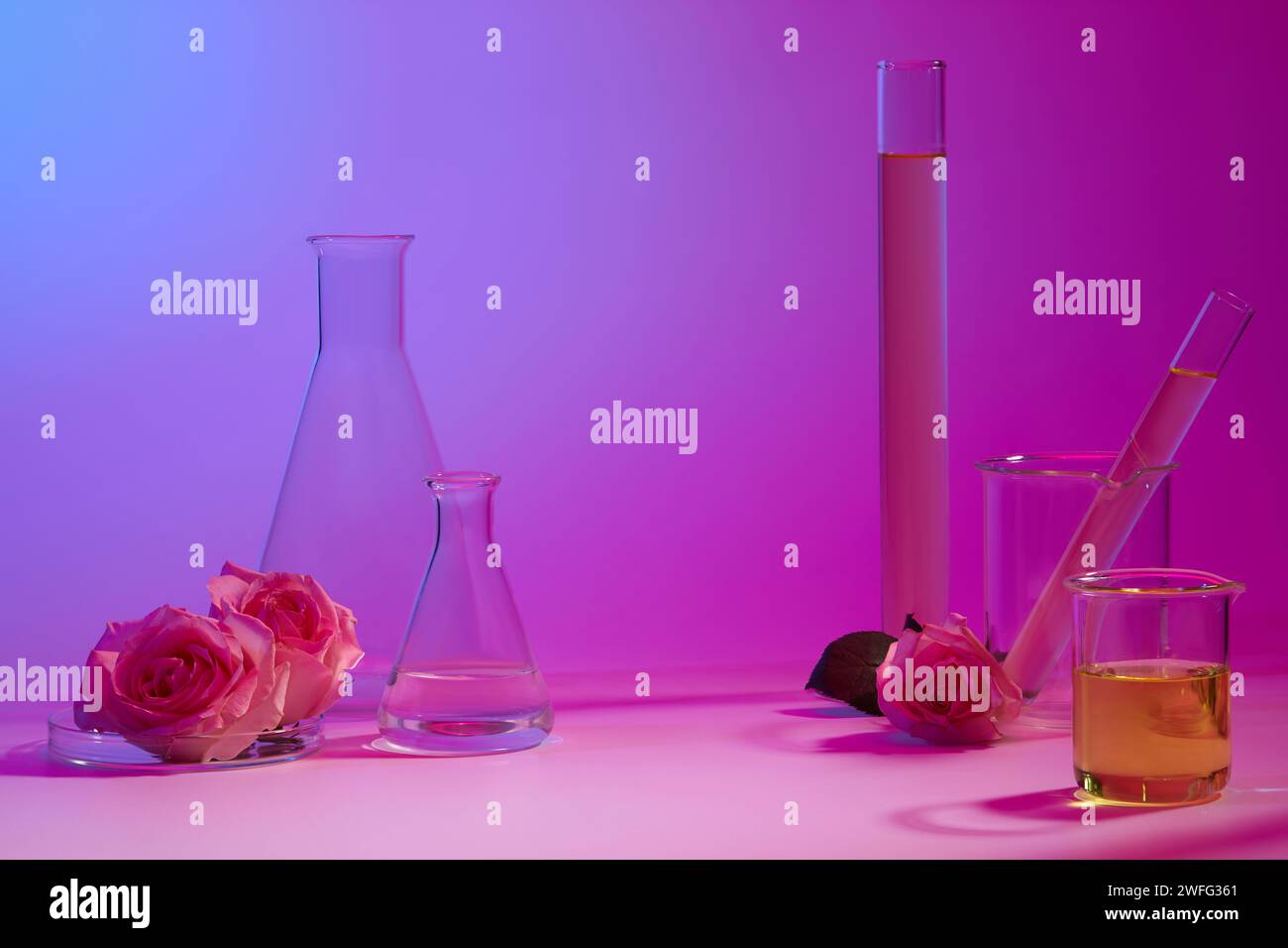 erlenmeyer flask displayed with beaker and test tubes containing pink ...