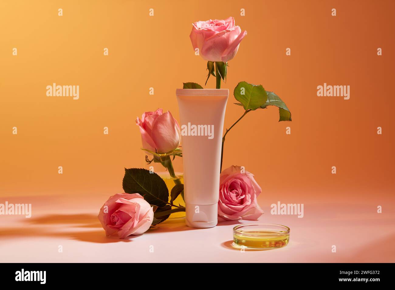 Yellow liquid filled inside a glass petri dish and beaker. Some Roses ...