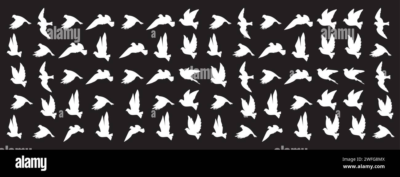 Flying bird silhouettes isolated on a black background, vector ...