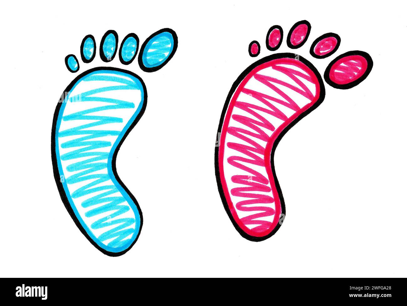 Two foot feet isolated on white background. The drawing is a black ...