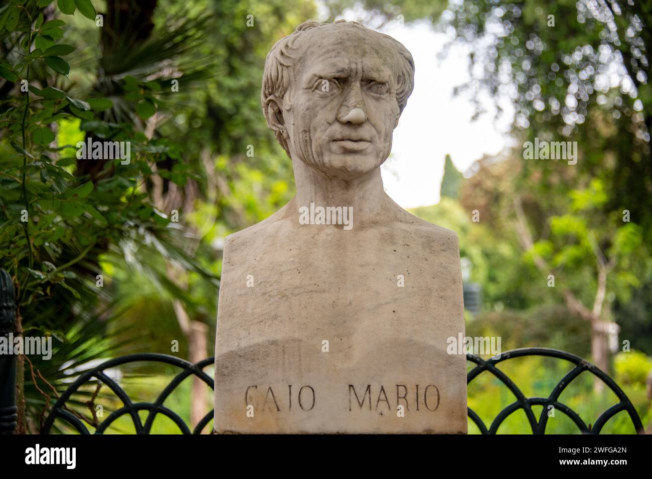 Bust of Roman General Gaius Marius (Caio Mario Stock Photo - Alamy