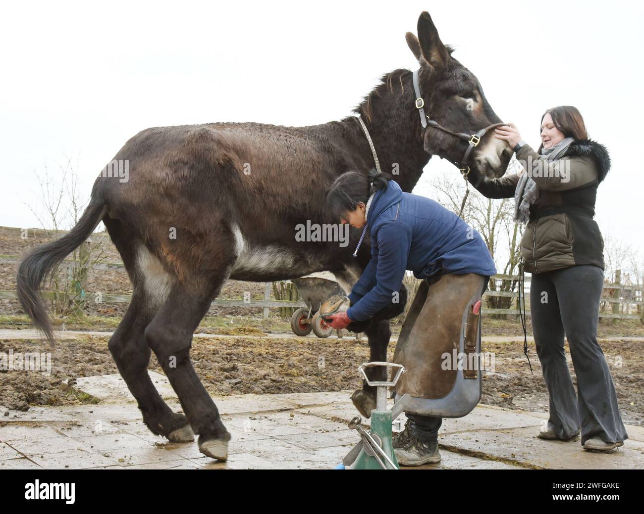PRODUCTION - 26 January 2024, Saxony, Krostitz: Katharina Perutzki ...