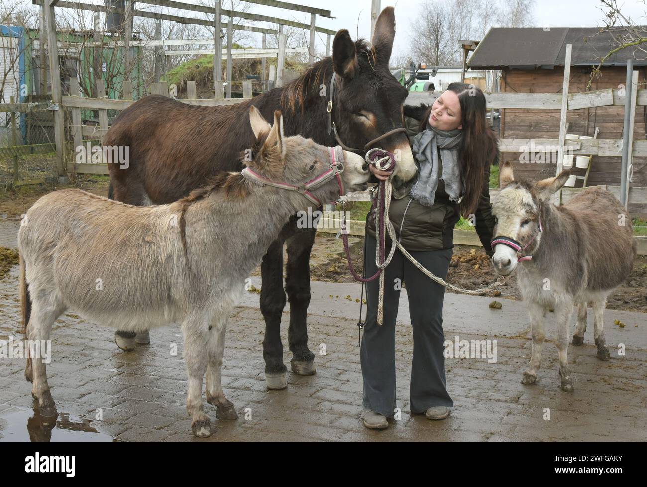 PRODUCTION - 26 January 2024, Saxony, Krostitz: Katharina Perutzki ...