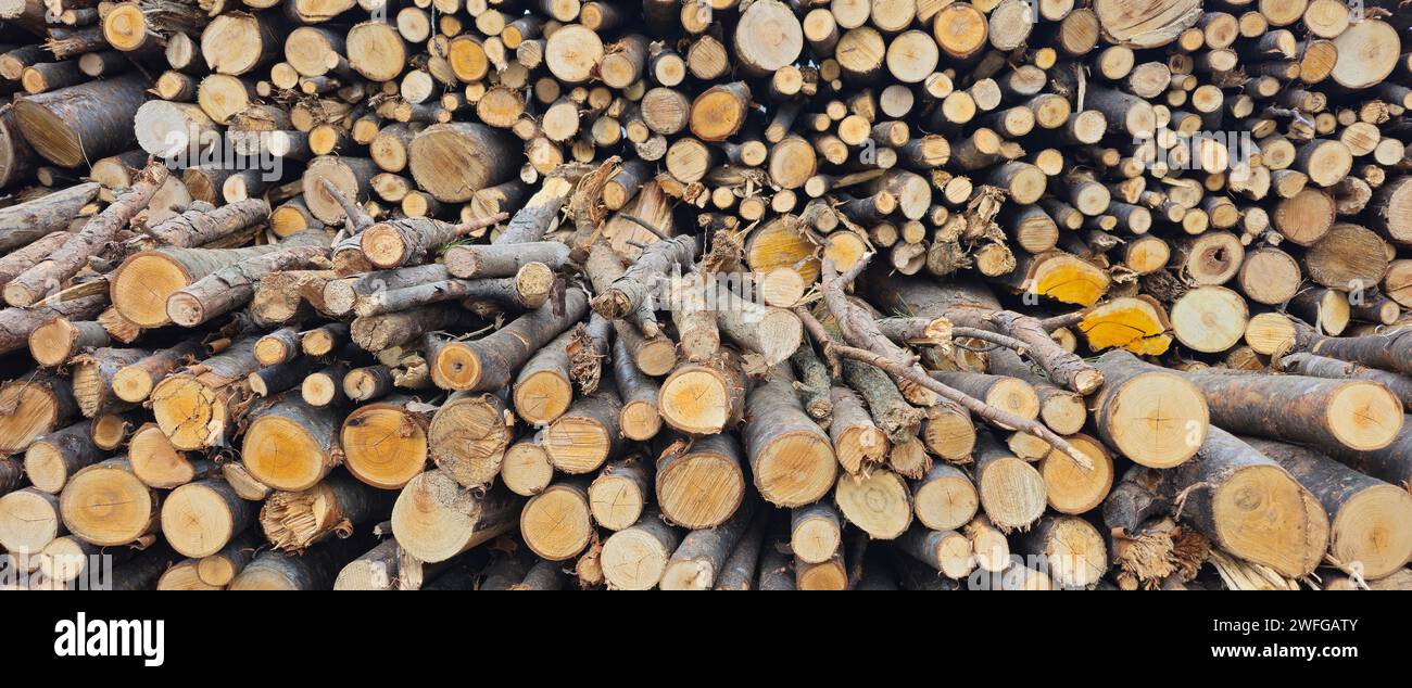Rows lumber building materials hi-res stock photography and images - Alamy