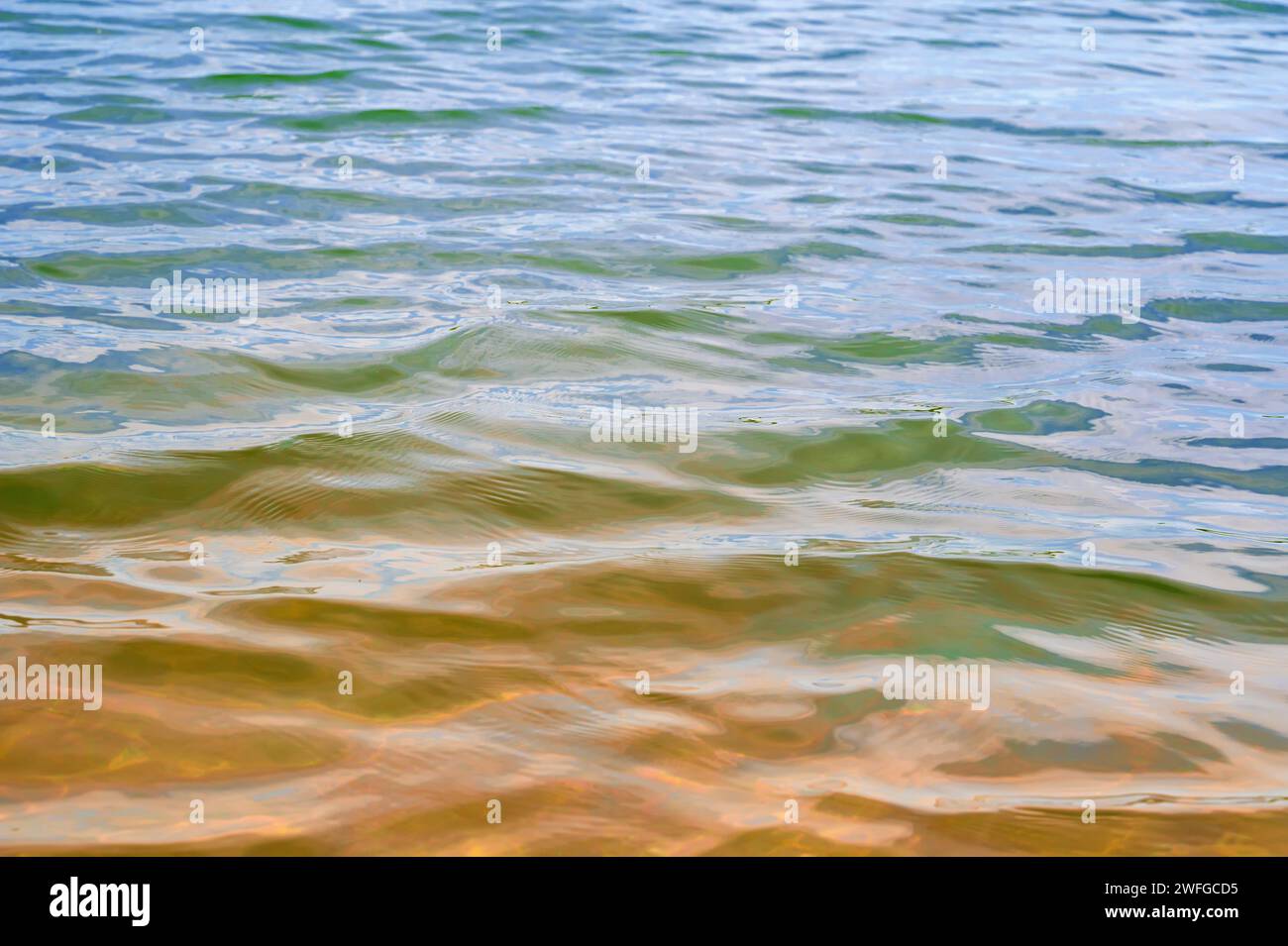 surface of the water in the lake. water banner and nature background ...