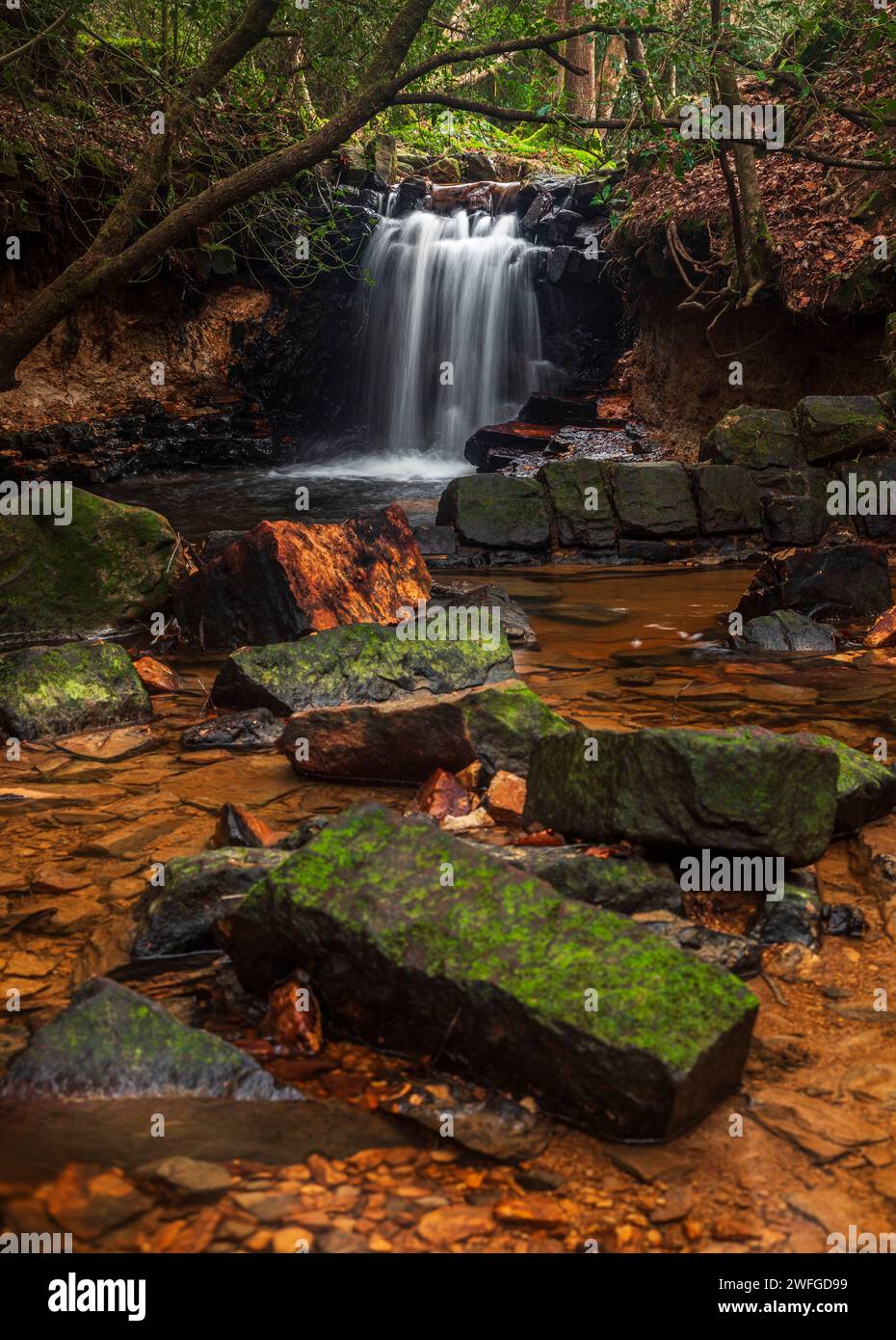 Garden of Eden waterfall in Ashdown Forest east Sussex south east ...