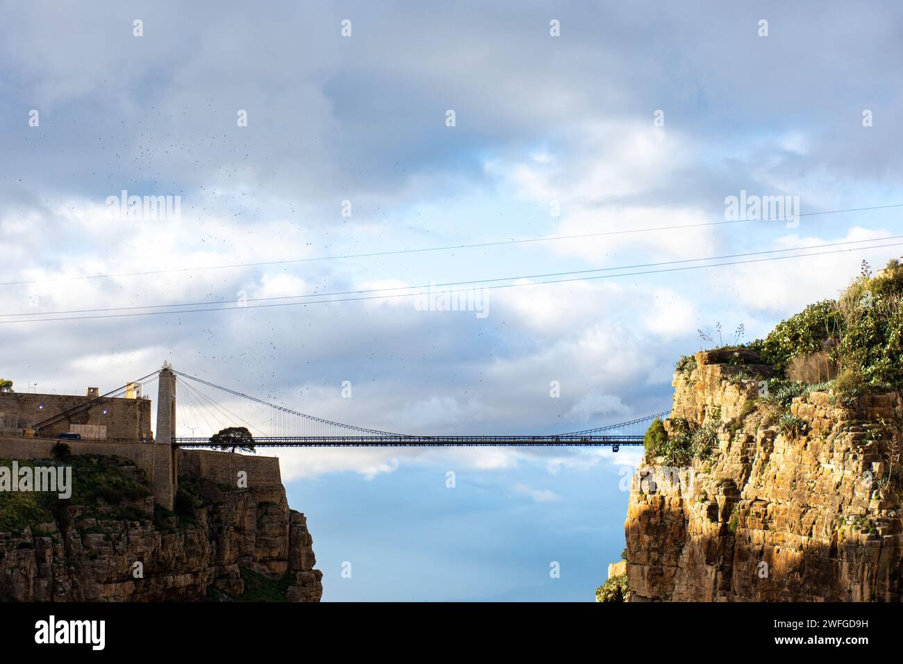 Low-angle view of Sidi M'Cid Bridge the suspension bridge in ...