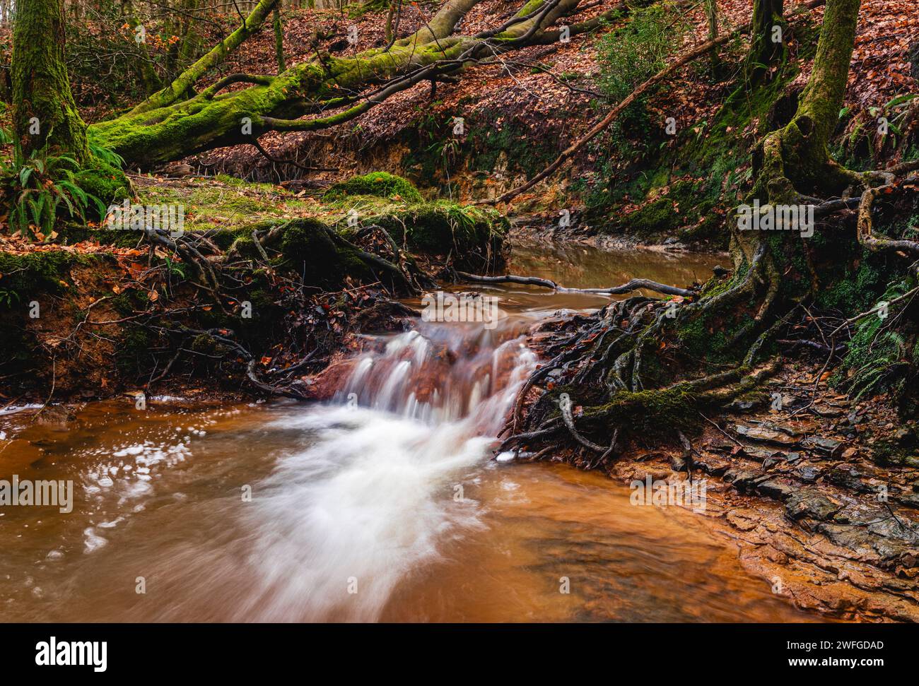 Garden of Eden waterfall in Ashdown Forest east Sussex south east ...