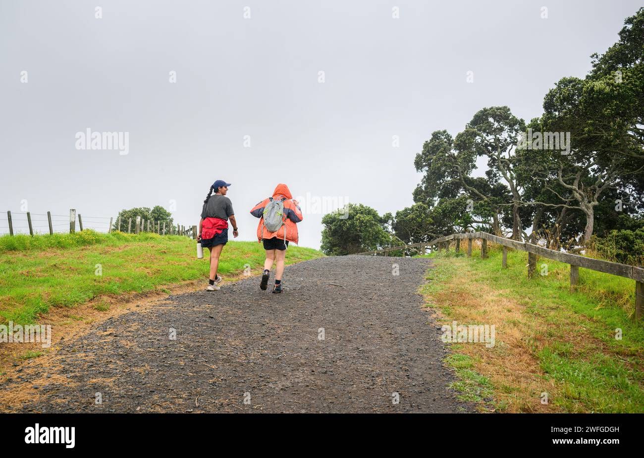 Two women walking the Long Bay coastal Okura Track in the rain ...