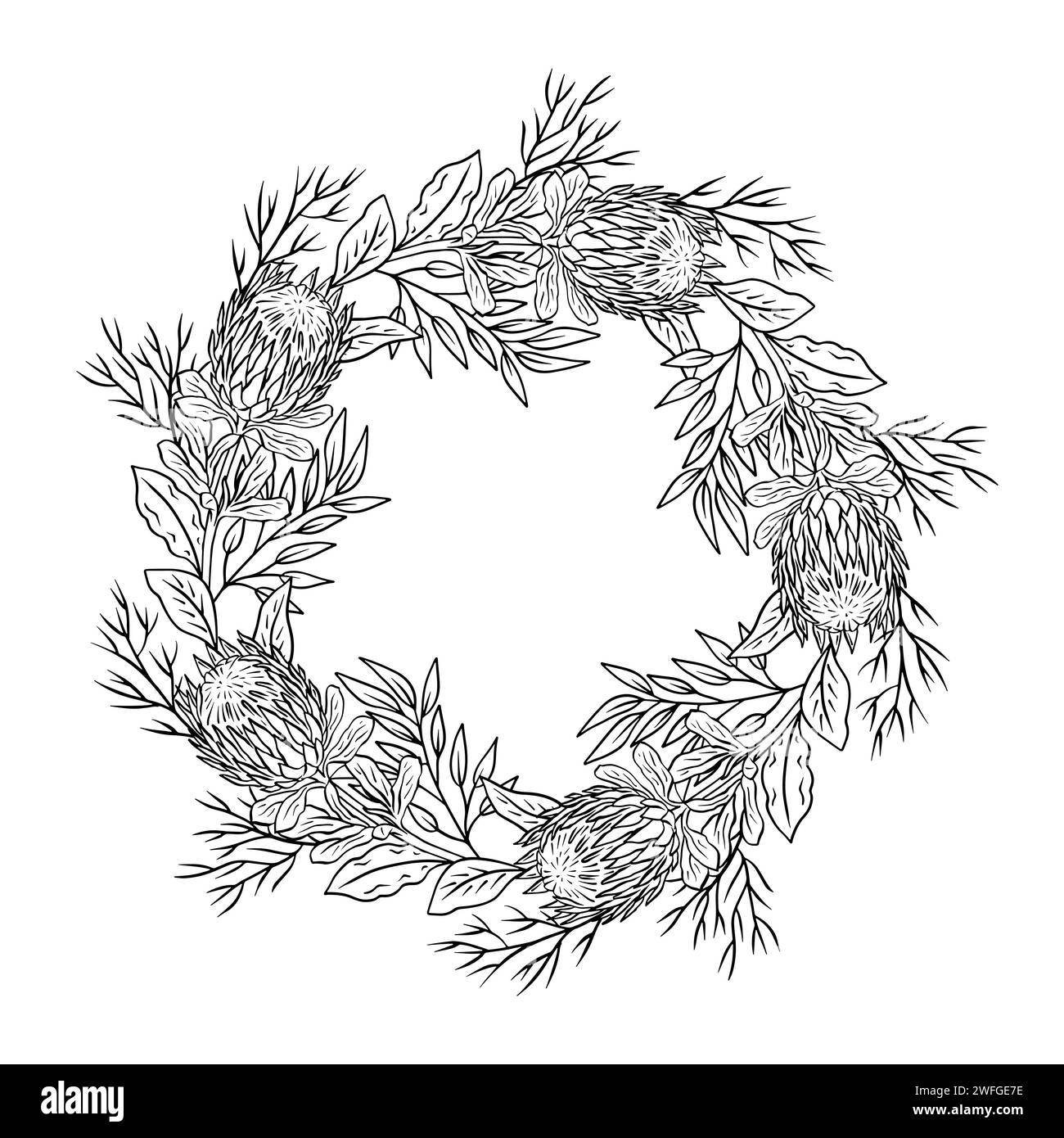 Hand drawn monochrome line art tropical protea flower round frame Stock ...