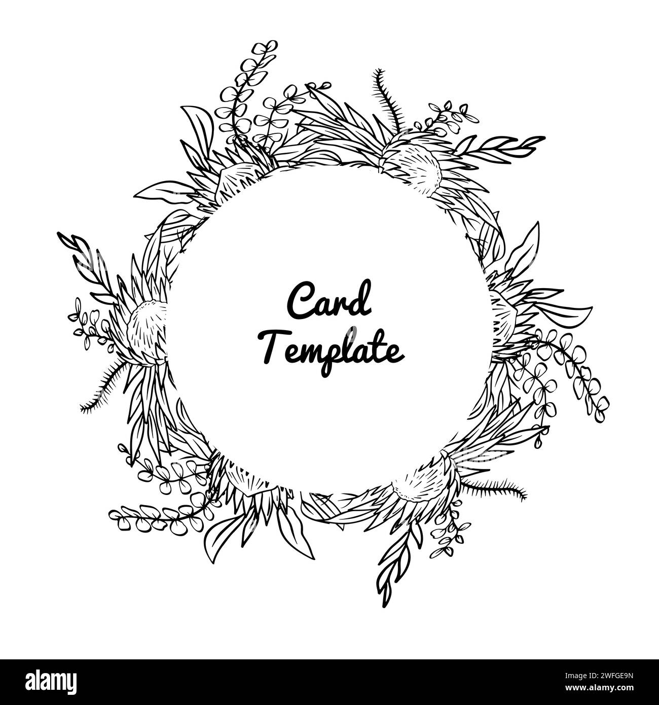 Hand drawn monochrome line art tropical protea flower round frame Stock ...