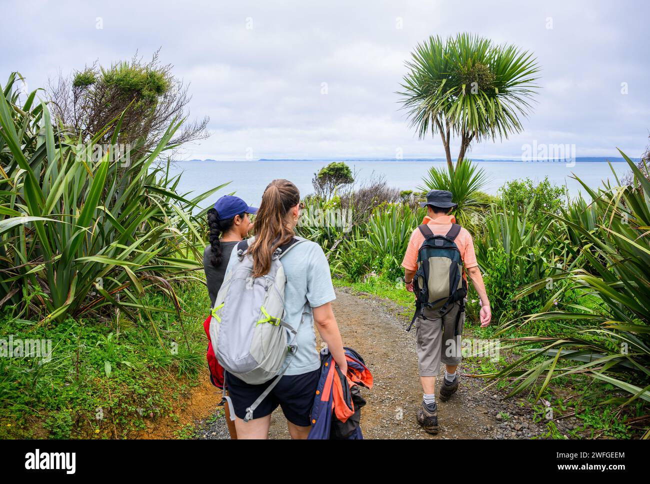 People talking and hiking the Long Bay coastal Okura Track. Auckland ...