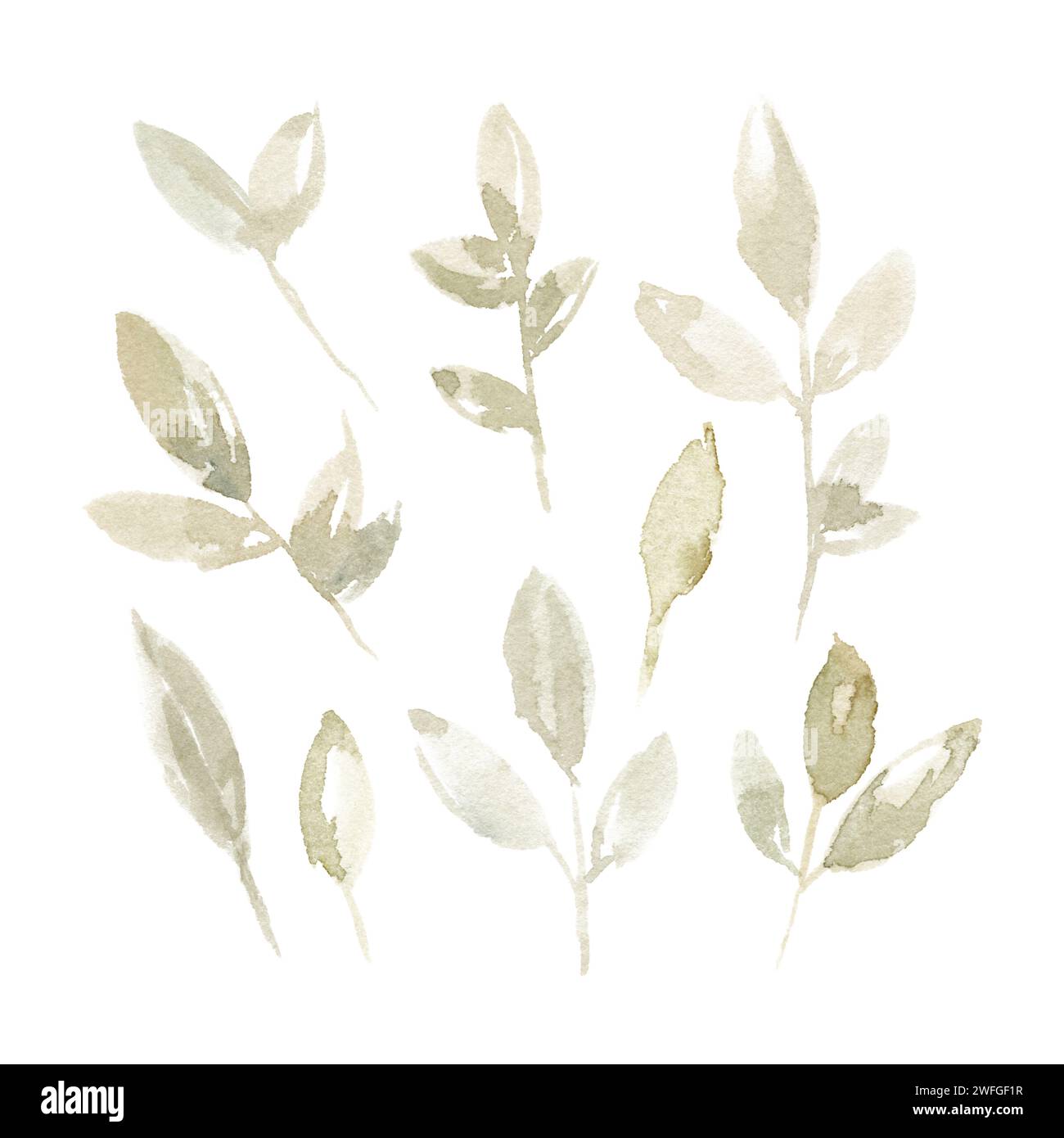 Leaf leaves illustration beige Cut Out Stock Images & Pictures - Alamy