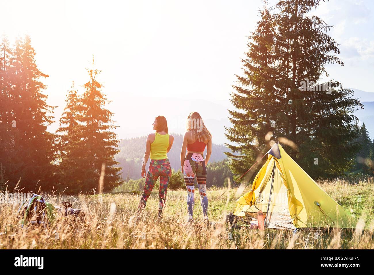 Two women hikers camping in mountains. Back view of young females ...