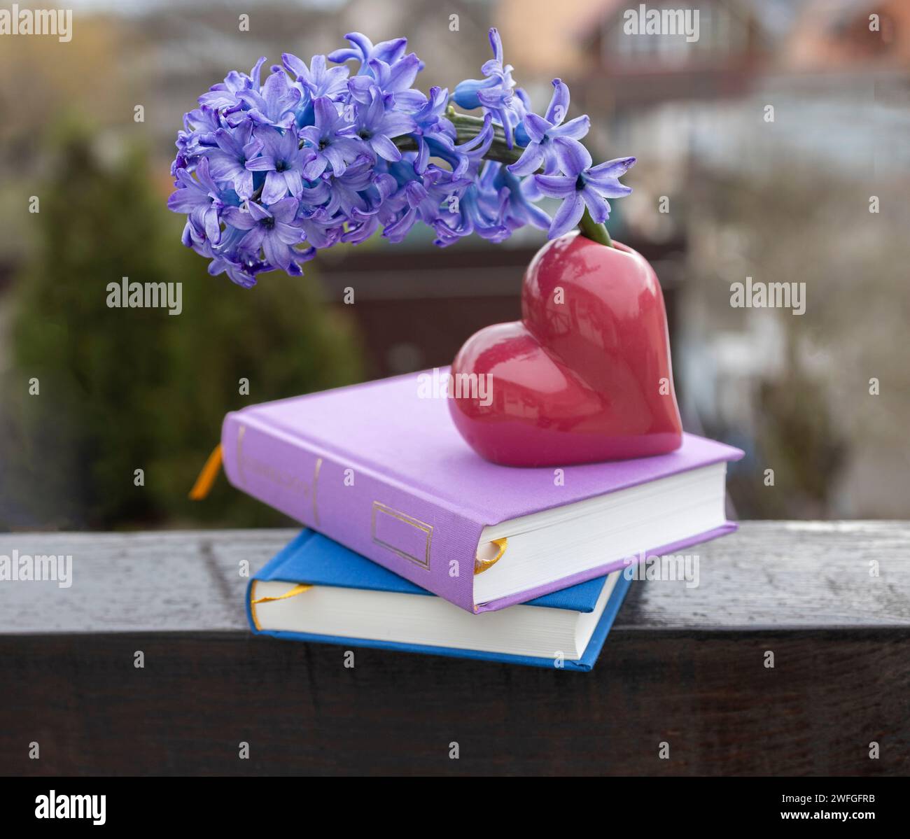 Books and hyacinth flower. concept of reading, education, aesthetics ...