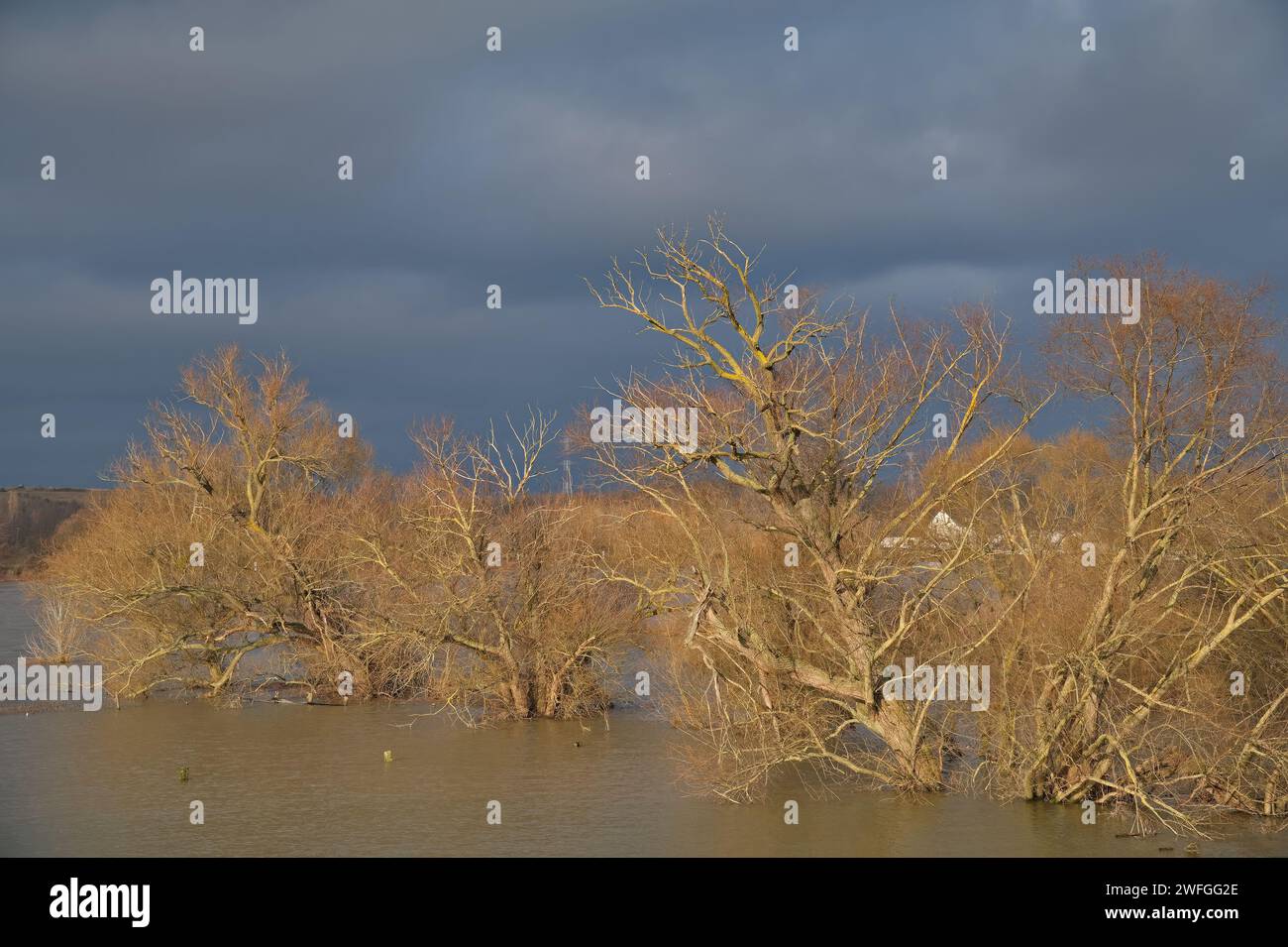 Monheimer rheinufer hi-res stock photography and images - Alamy