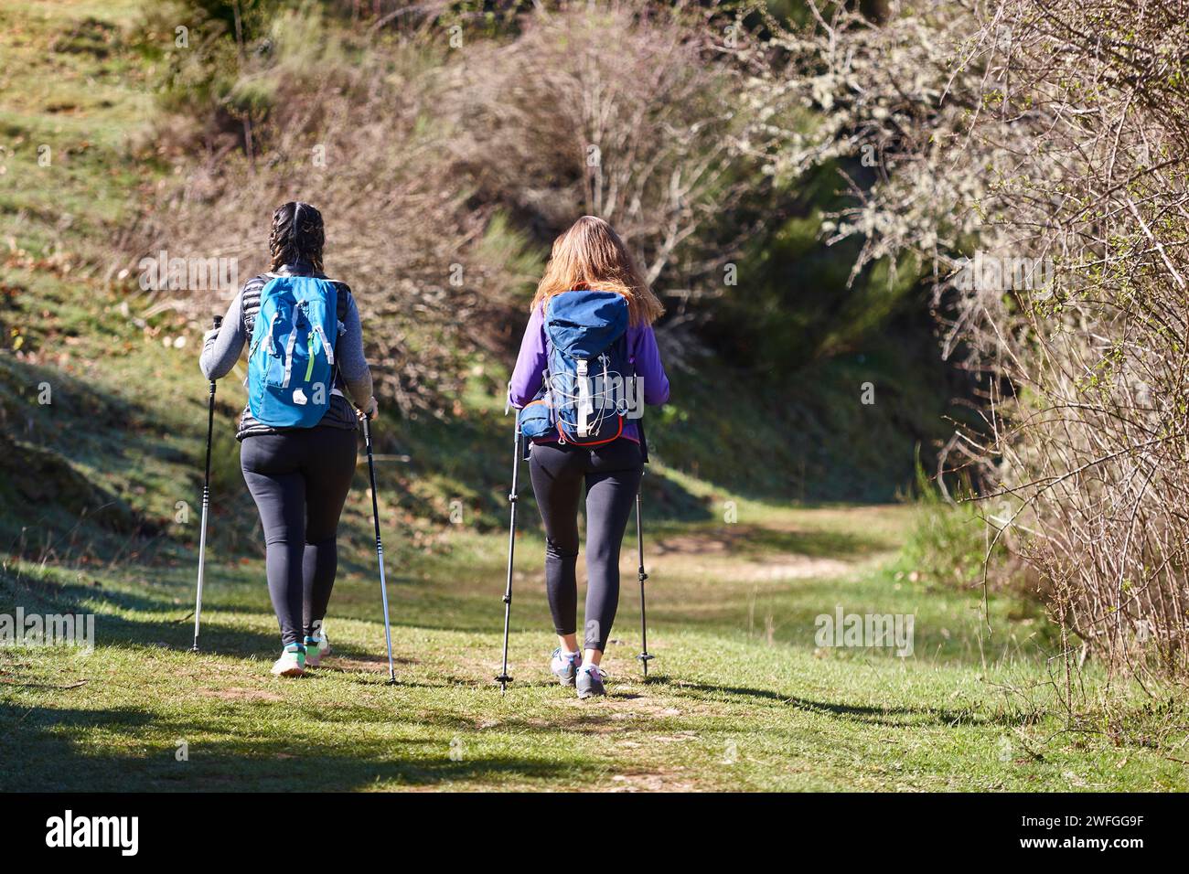Female backpacker hikers on a pathway. Outdoor healthy lifestyle Stock ...