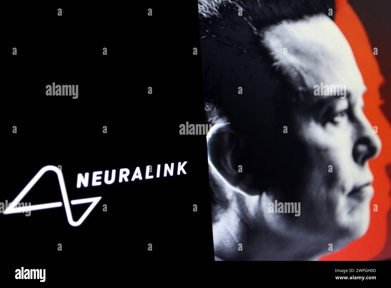 Sleman, Yogyakarta, Indonesia. 31st Jan, 2024. In this photo ...