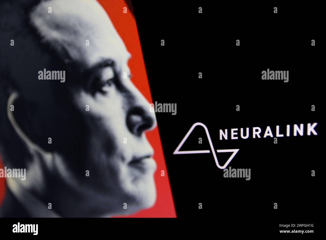 Sleman, Yogyakarta, Indonesia. 31st Jan, 2024. In this photo ...