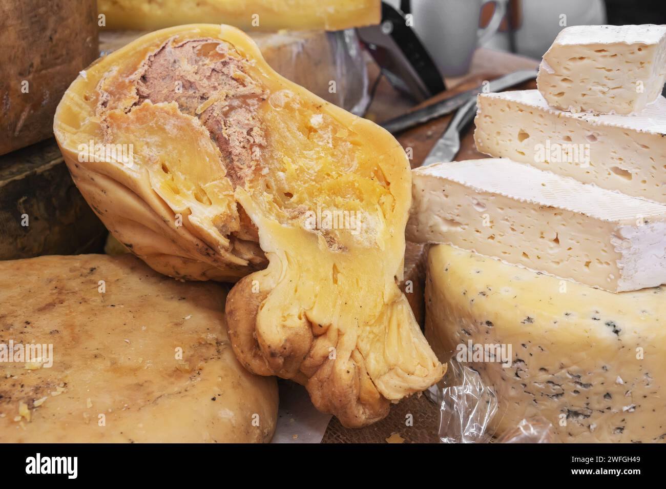 A large piece of hard cheese aged for over 3 years on the counter of ...