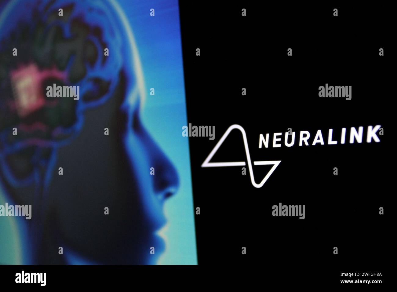 Sleman, Yogyakarta, Indonesia. 31st Jan, 2024. In this photo ...