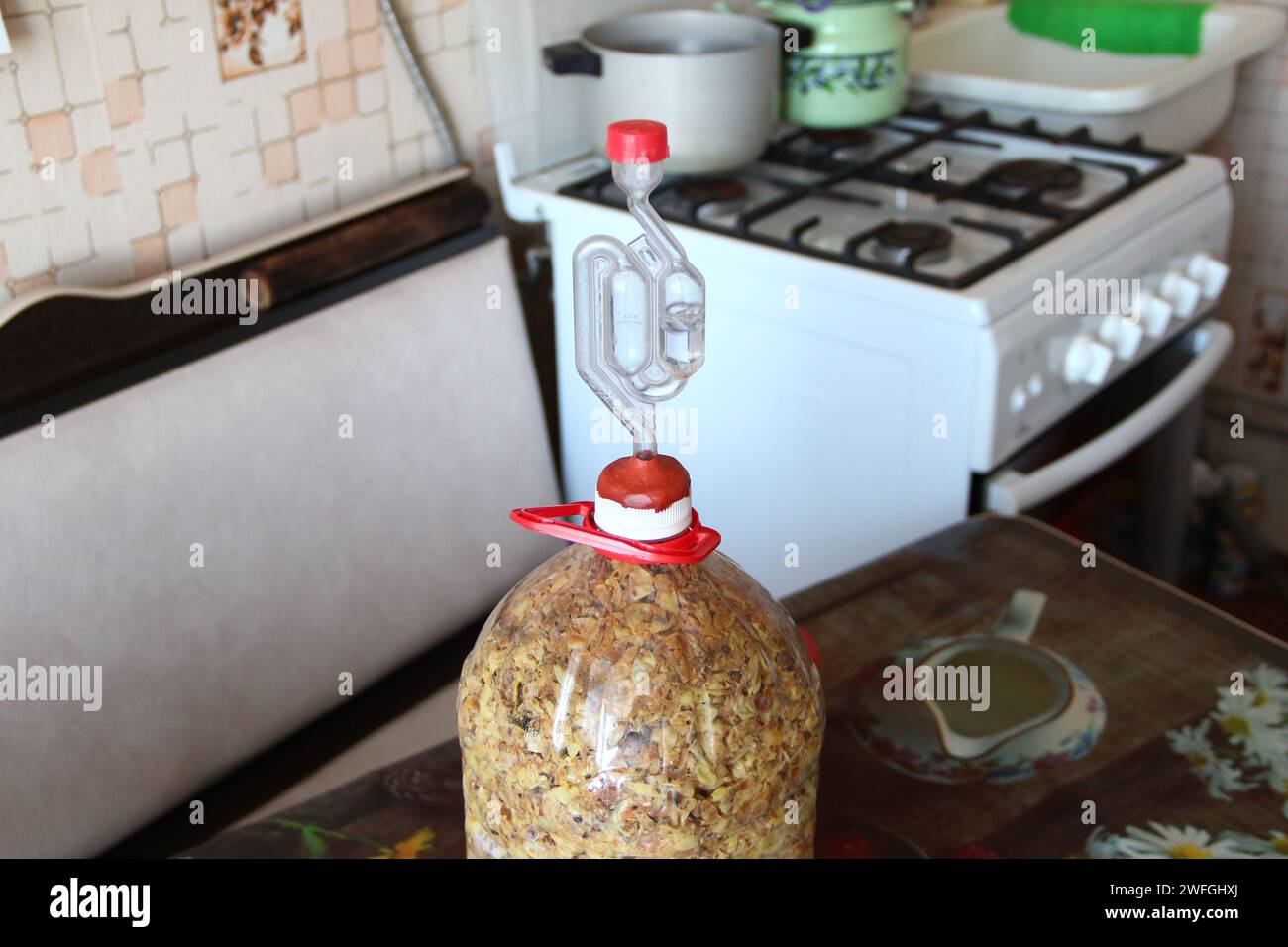 Active wine fermentation process, water seal on a bottle of homemade ...