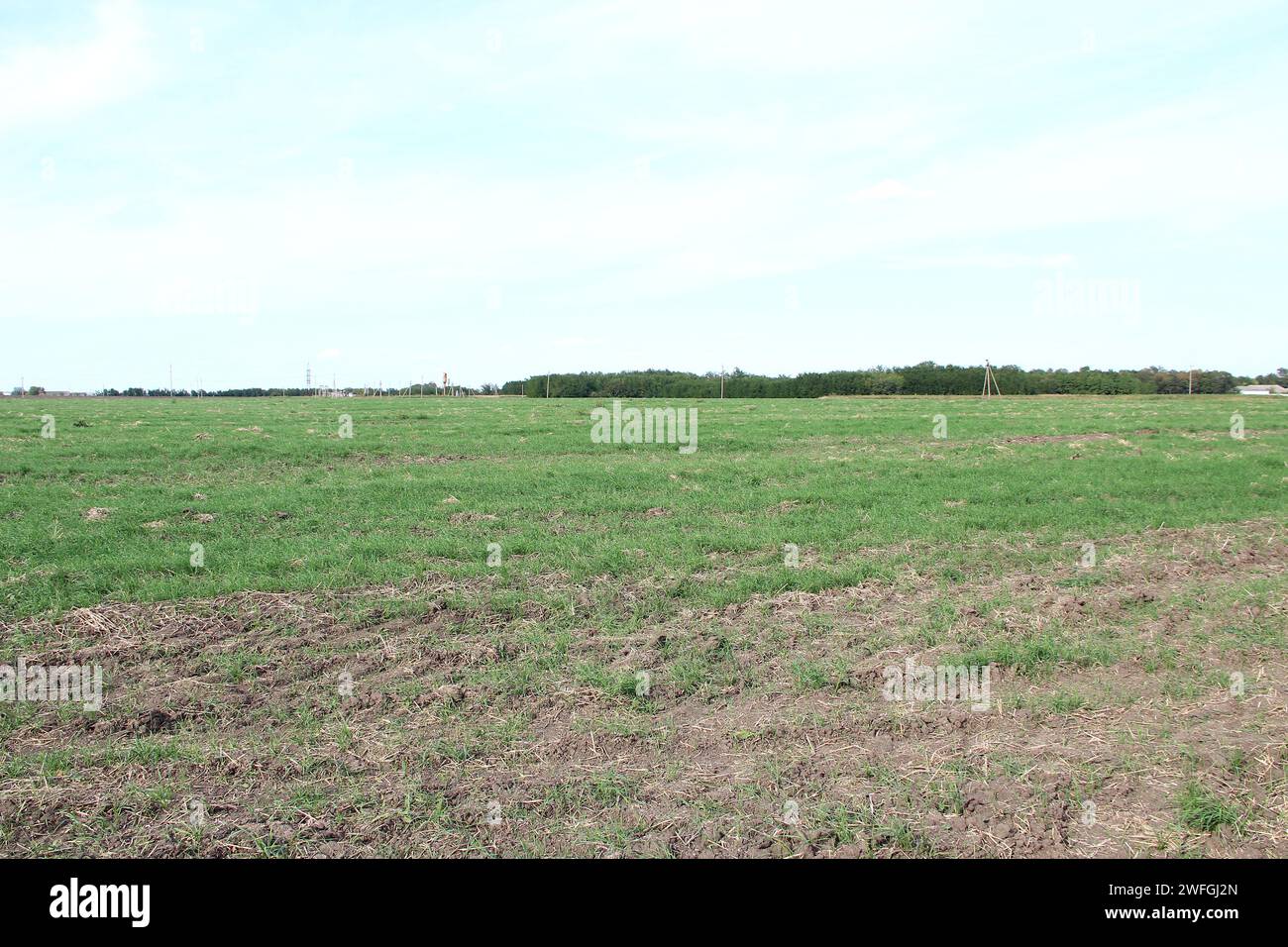 Corn field aerial weed hi-res stock photography and images - Alamy