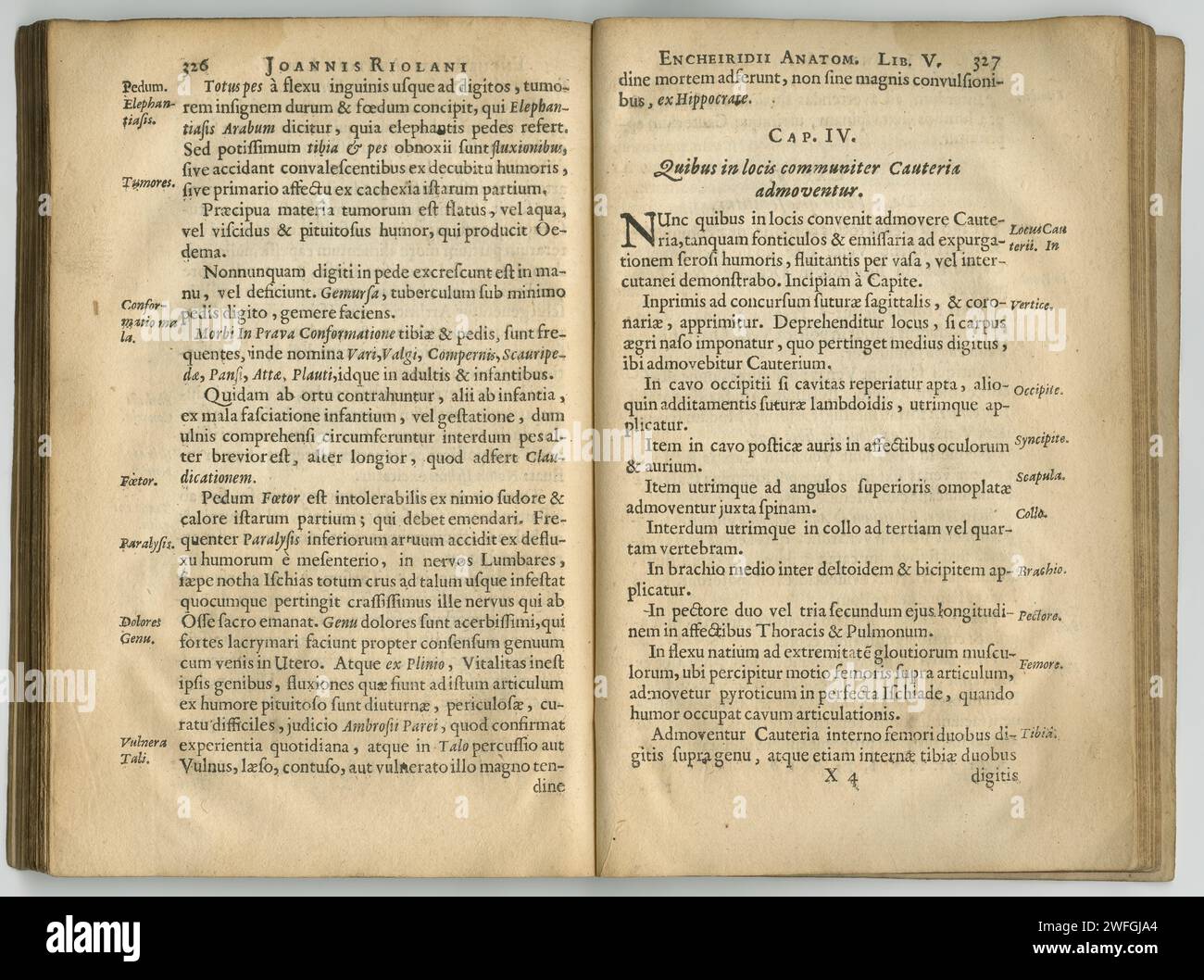 Antique book and pages with vintage, research and manuscript with paper ...