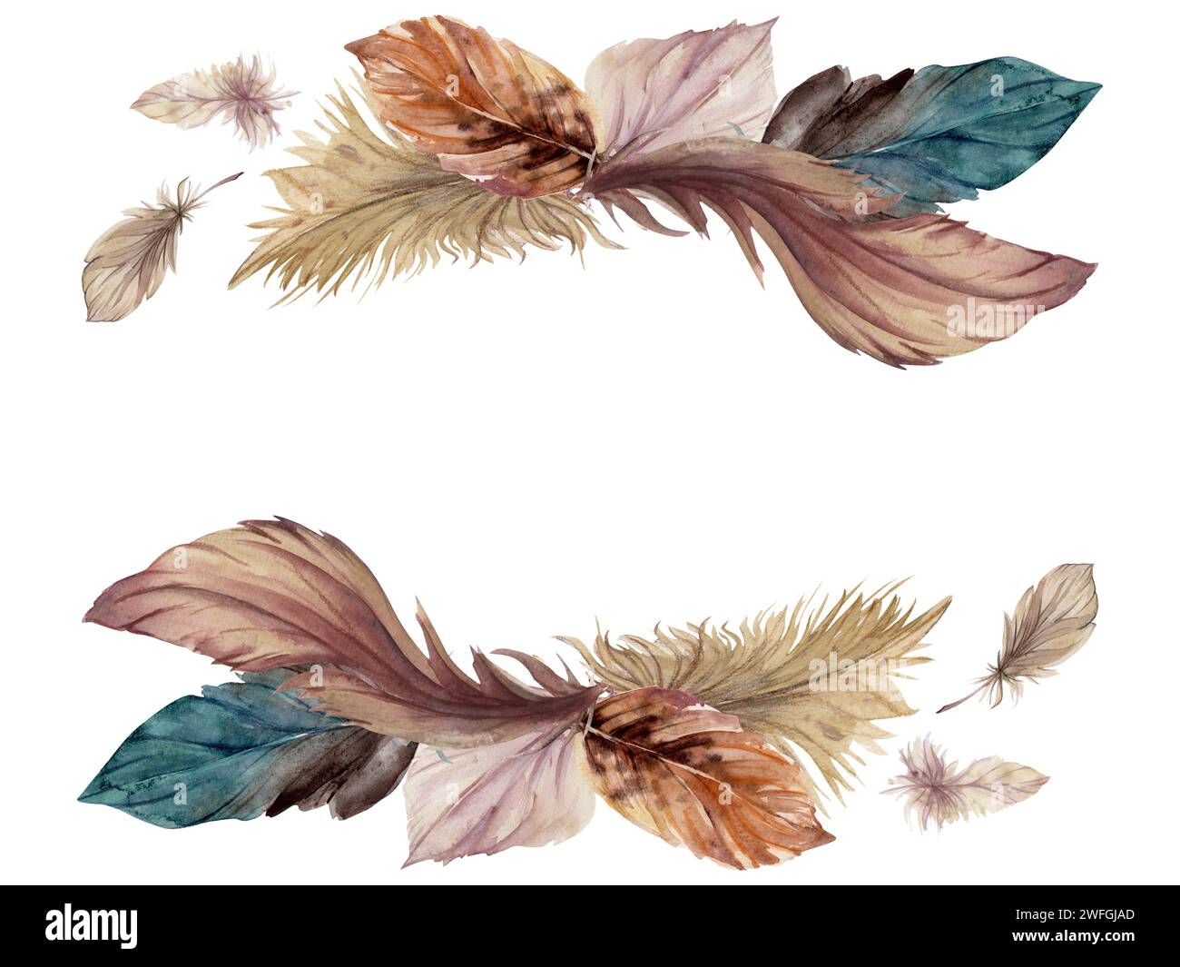 Hand drawn watercolor bird feather plume quill boho tribal ethnic ...