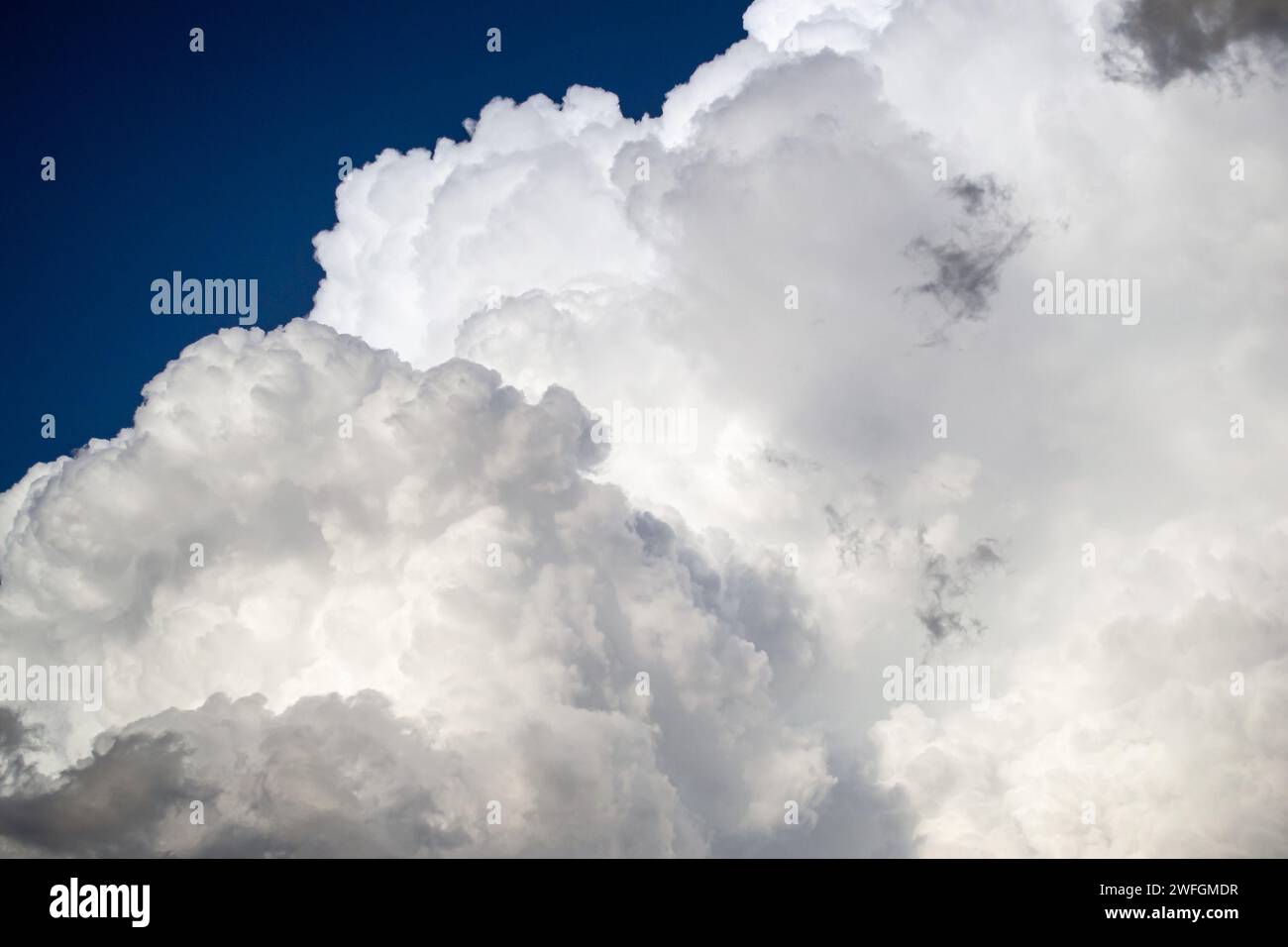 Large fluffy white cumulus cloud hi-res stock photography and images ...