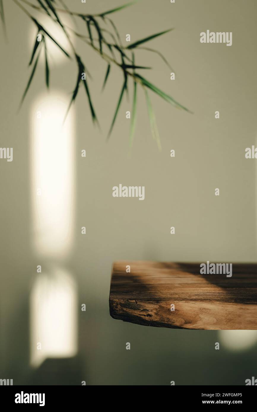 Product showcase backgrounds, product image background, photography ...