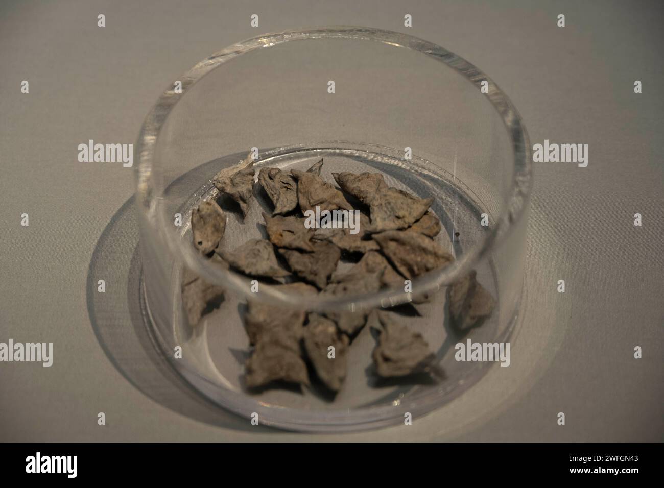 HANGZHOU, CHINA - JANUARY 18, 2024 - A collection on display at ...
