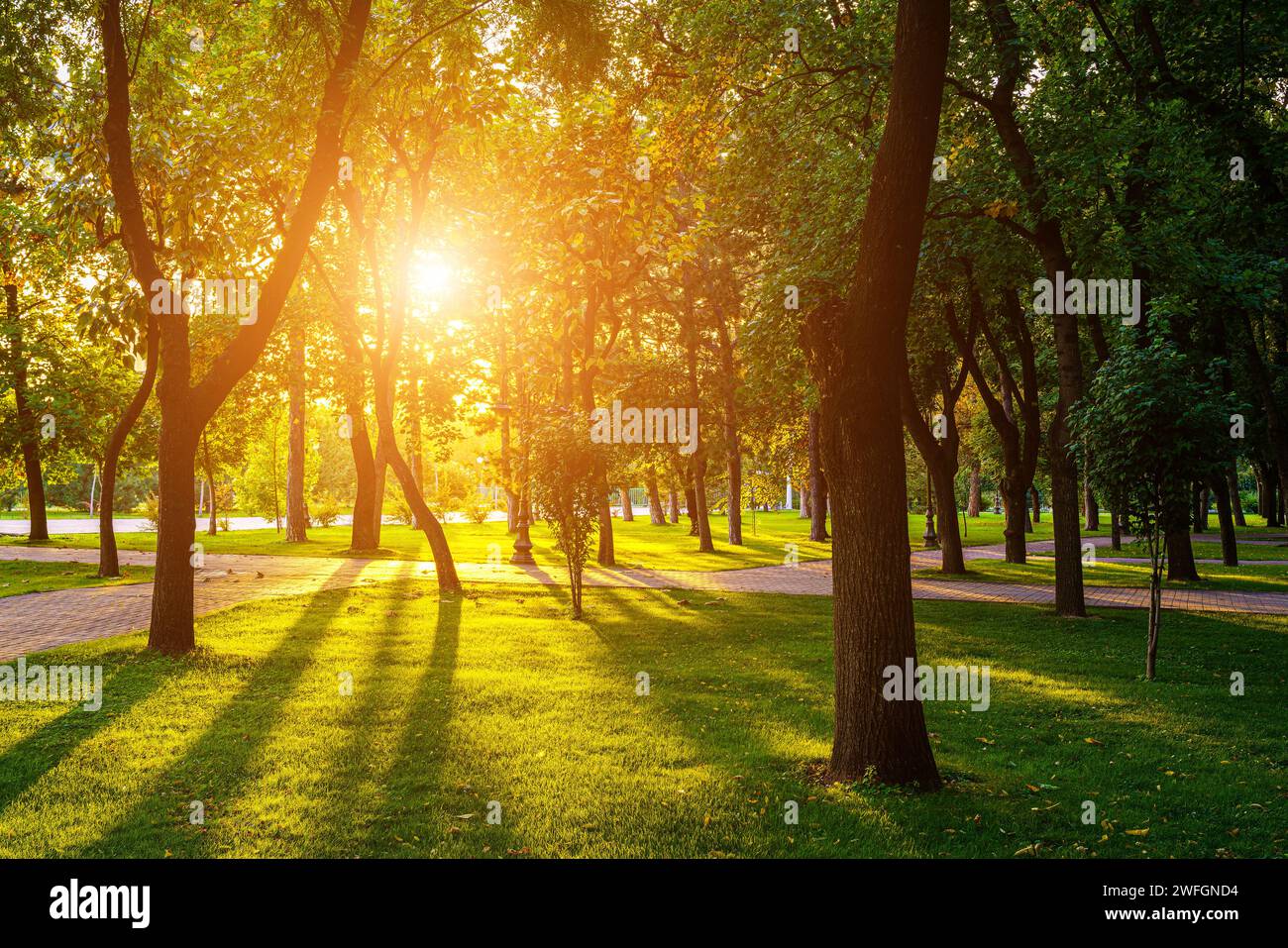 City park in summer or spring with pavement, green lawn and trees on a ...
