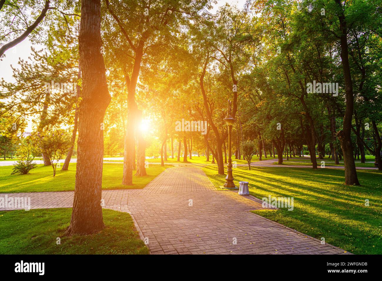 Tile on sidewalk sunset in hi-res stock photography and images - Alamy