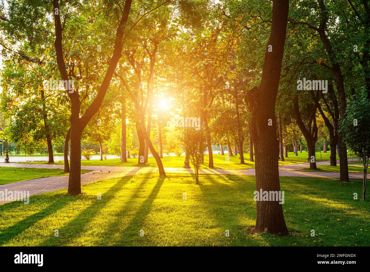 City park in summer or spring with pavement, green lawn and trees on a ...