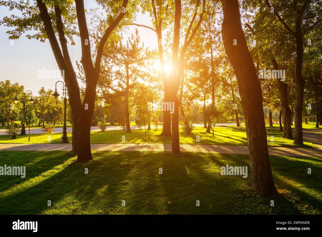 Tile on sidewalk sunset in hi-res stock photography and images - Alamy