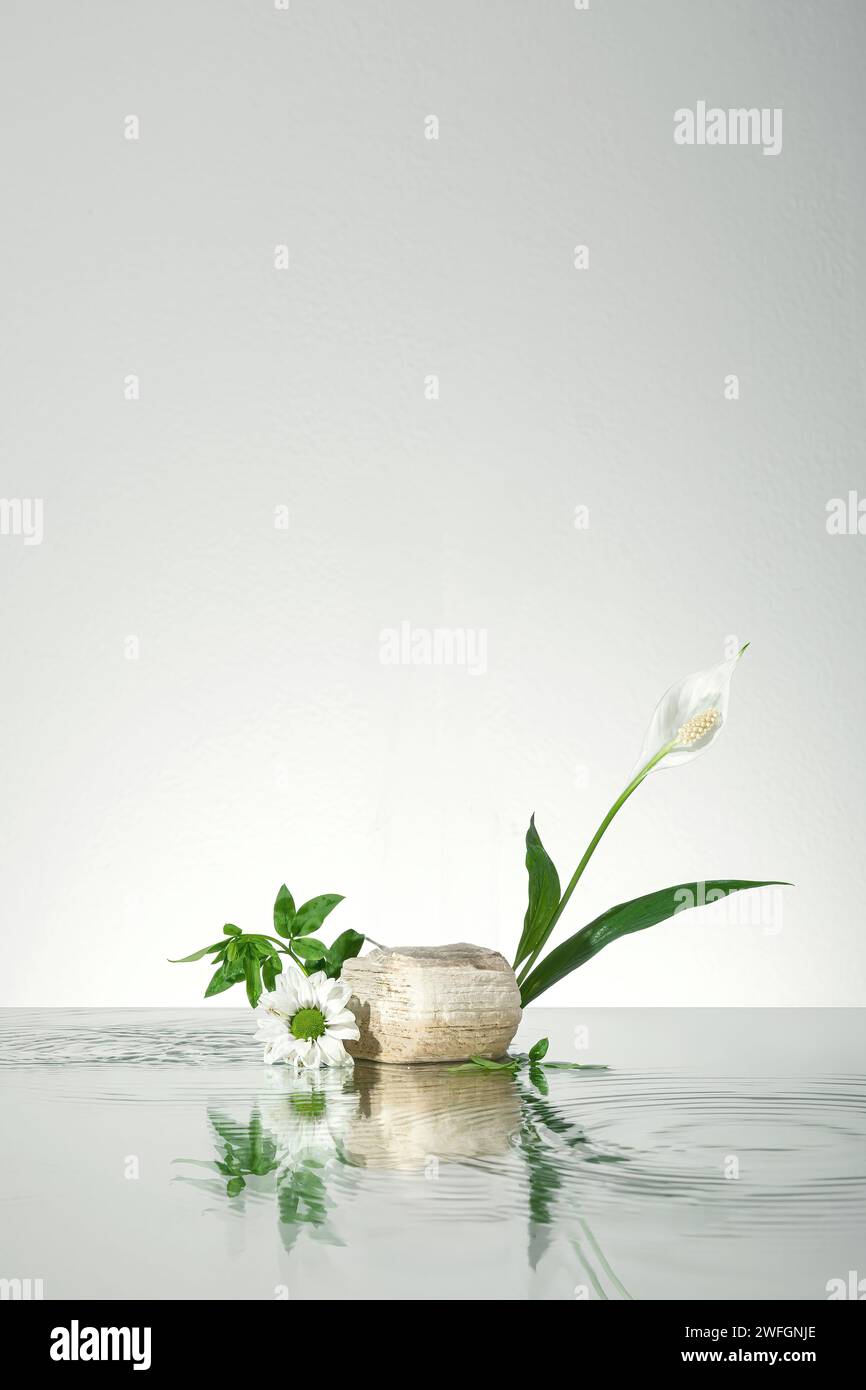Product showcase backgrounds, product image background, photography ...
