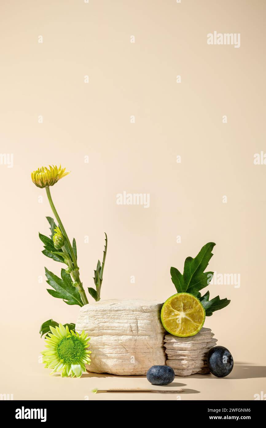 Product showcase backgrounds, product image background, photography ...