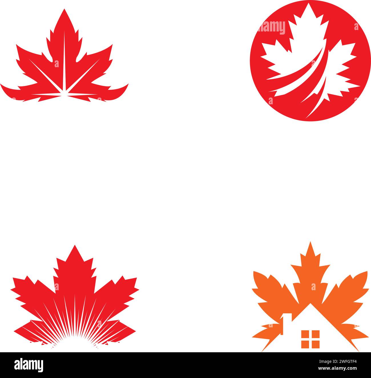 Maple leaf vector illustration design template Stock Vector Image & Art ...