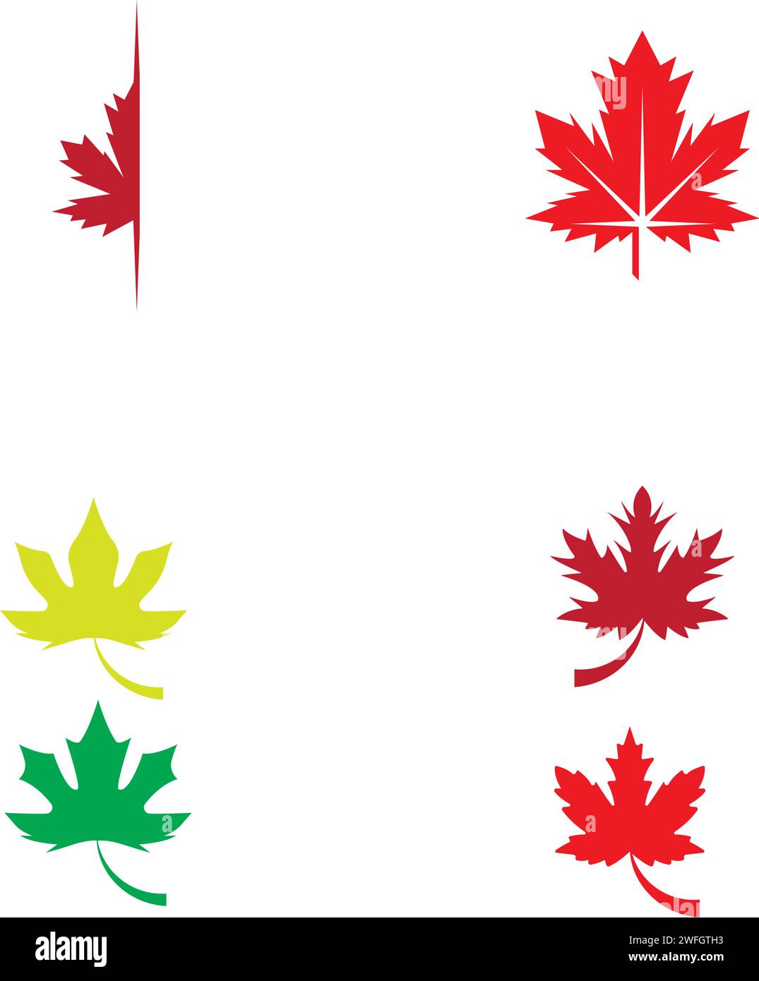 Maple tree fall foliage Stock Vector Images - Alamy