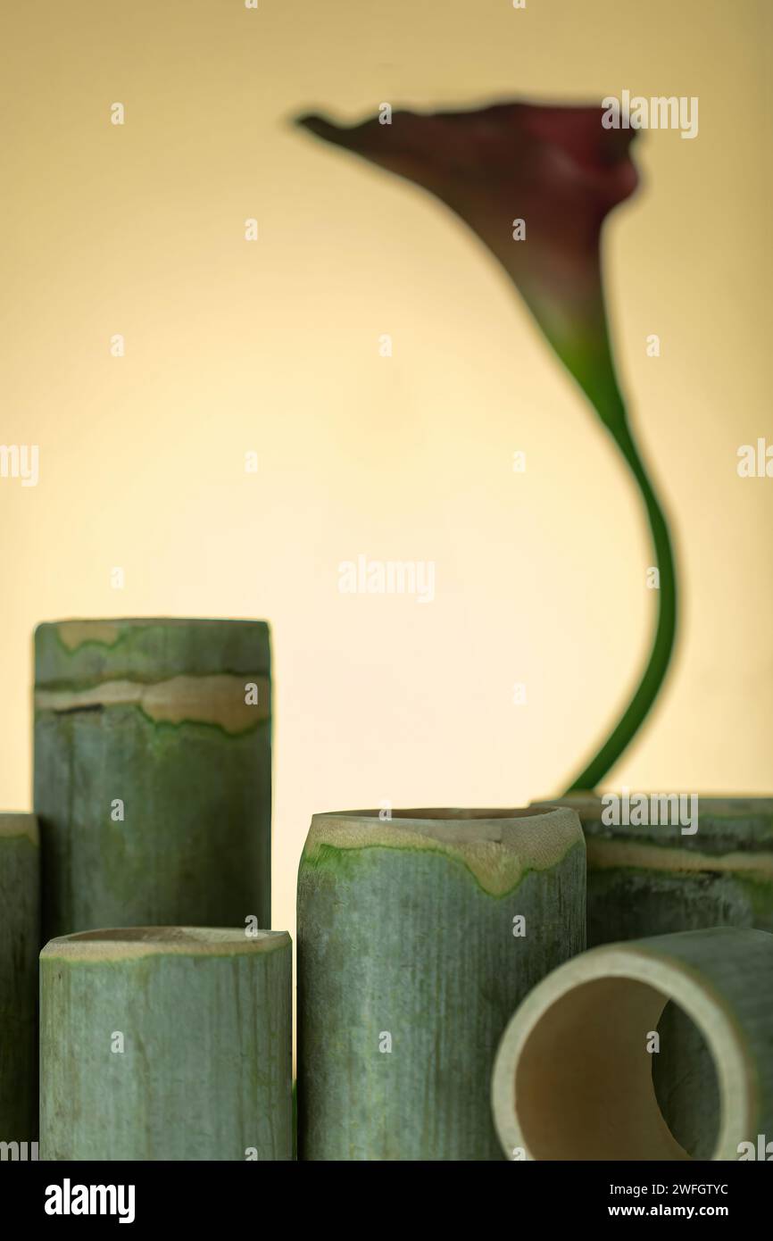 Product showcase backgrounds, product image background, photography ...