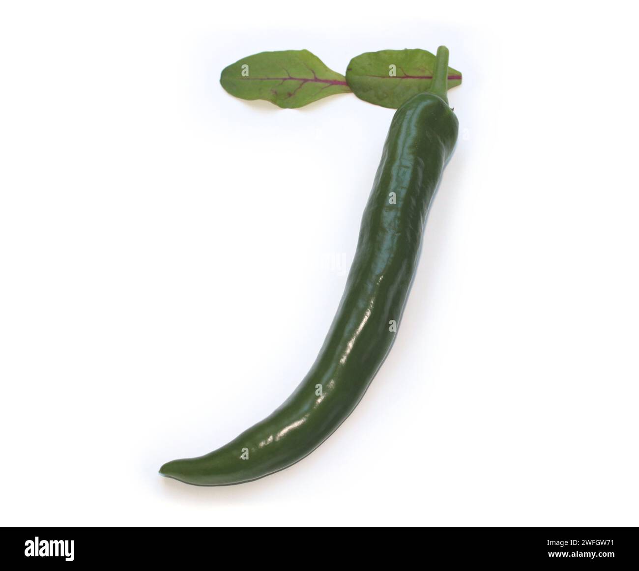 Letter J made from green salad and chili peppers alphabetic ABC capital ...